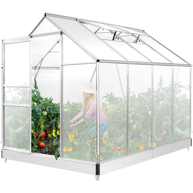 Creationstry 250" x 190" Greenhouse | Wayfair